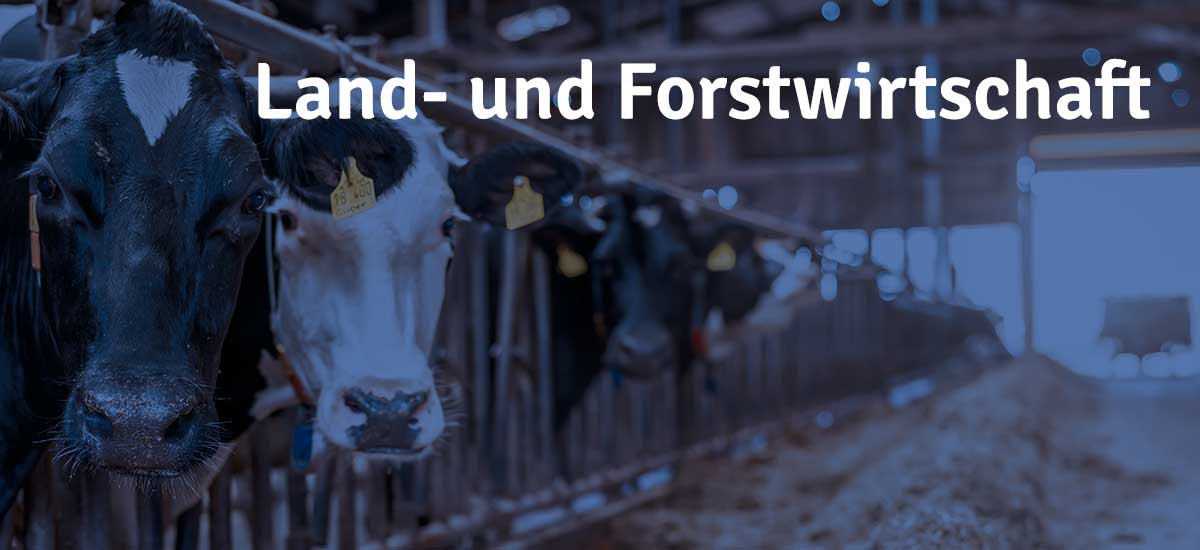 Grundsteuer | Finanzämter des Landes Brandenburg